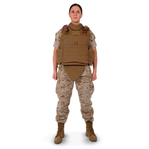Marine Corps IMTV Body Armor - Improved Modular Tactical Vest - Devil ...